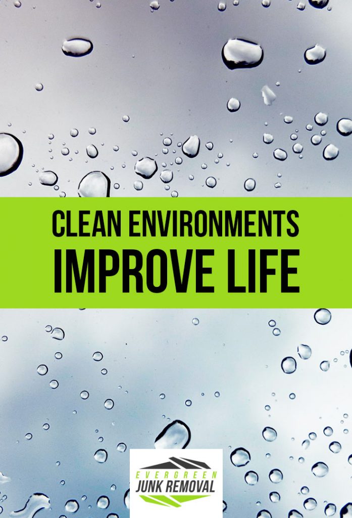 Clean Environment Benefits | Ultimate Guide To A Clean Space